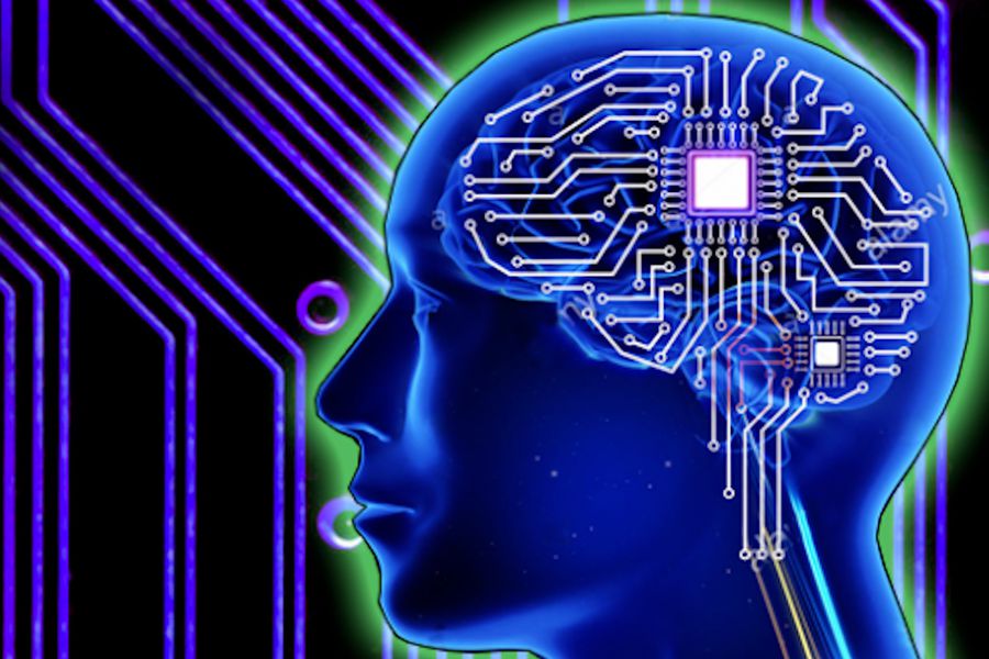 Así Es El Chip Cerebral De Elon Musk Que Busca Devolver La Movilidad A
