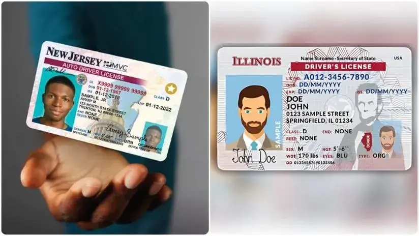 Real ID vs. licencia de conducir en EE.UU.: Diferencias clave y cuál ... Real ID vs. licencia de conducir en EE.UU.: Diferencias clave y cuál ...